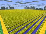 How to Create Wheat Fields in Minecraft
