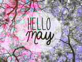 Welcome May, Status, Memorable Quotes for the Month